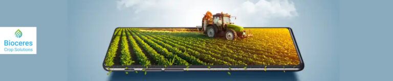 Bioceres Crop Solutions: A Year of Growth Amid Challenges ...