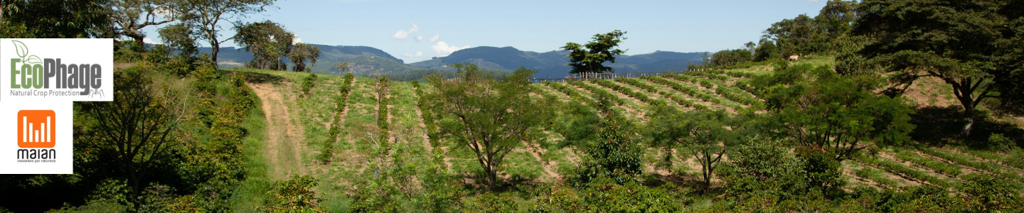 EcoPhage and Maian have entered into a distribution agreement for ...